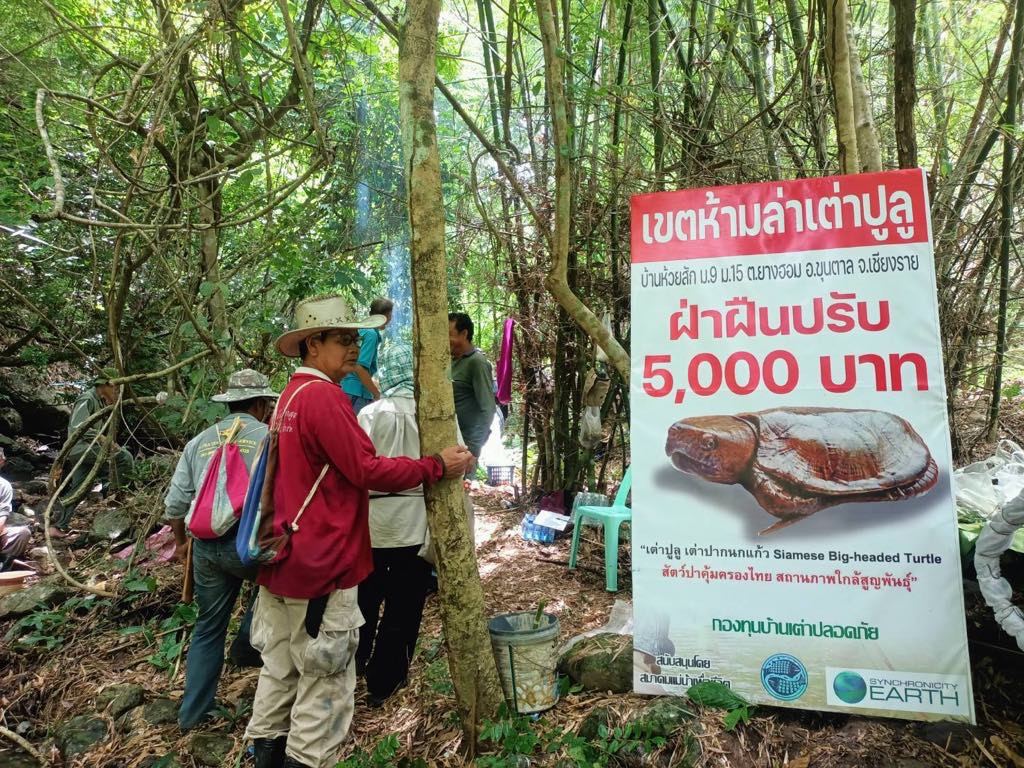 บ้านห้วยสักจัดพิธีฟังธรรมขุนห้วยกุศโลบายรักษาป่า พร้อมประกาศเขตห้ามล่าเต่าปูลู - Lanner