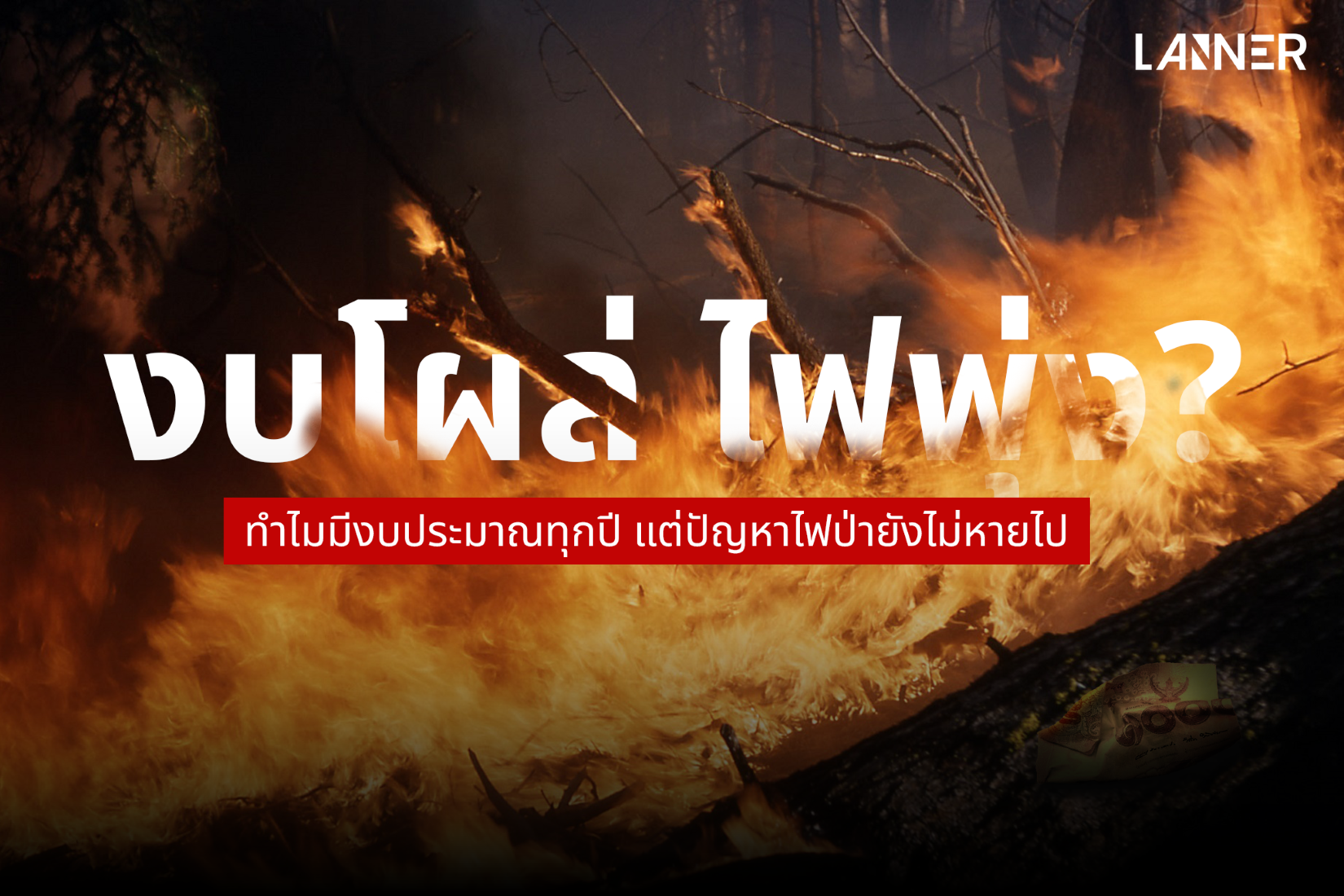 งบโผล่ ไฟพุ่ง? : ทำไมมีงบประมาณทุกปี แต่ปัญหาไฟป่ายังไม่หายไป - Lanner