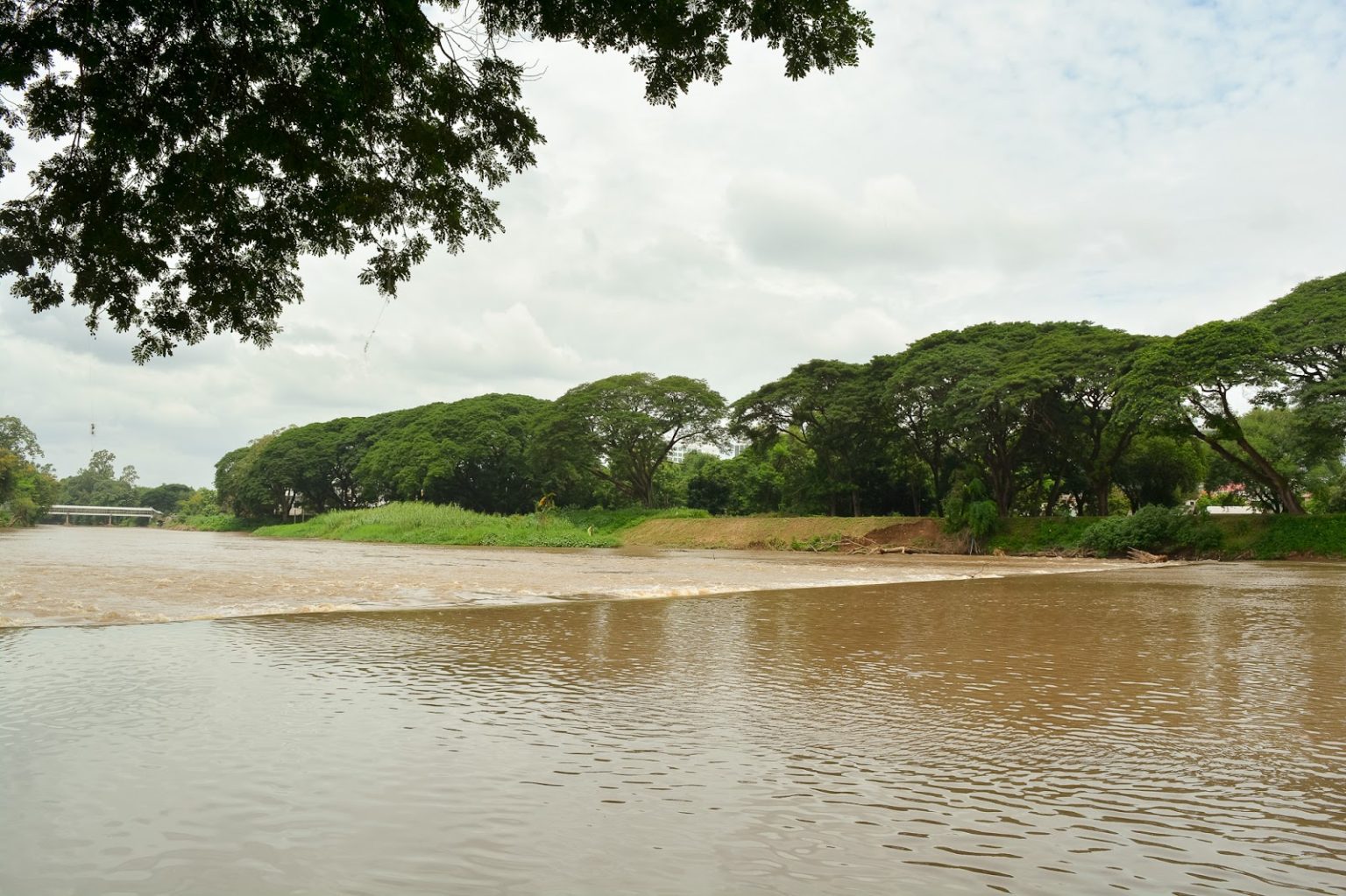 จะรื้อหรือไม่รื้อ ‘ฝายพญาคำ’ คำถามที่ใหญ่กว่าตัวฝาย คือเราเข้าใจน้ำและเมืองแค่ไหน? - Lanner