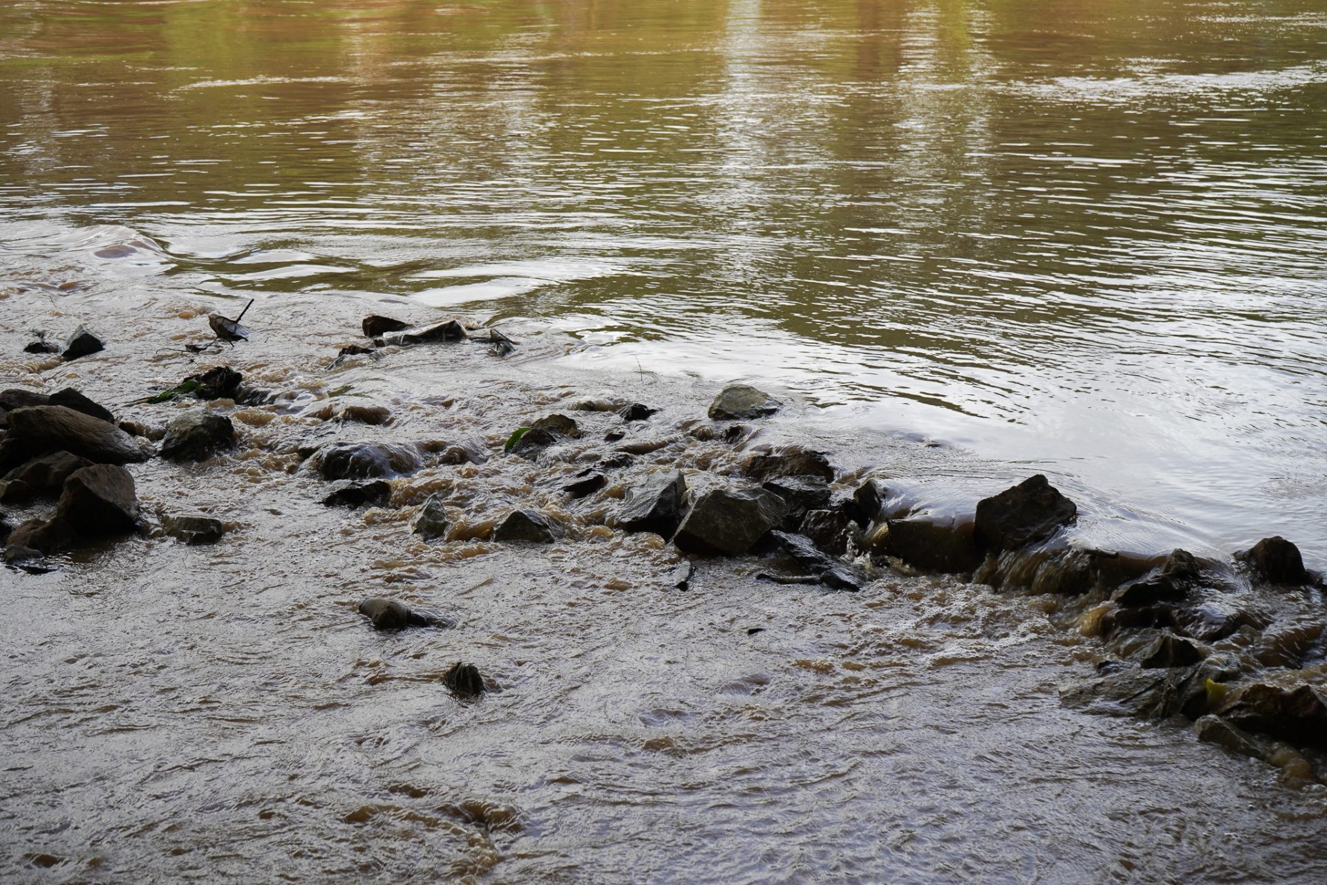 สรุปประเด็น ‘รื้อฝายพญาคำ’ คอขวดของน้ำปิง หรือคอขวดของความเข้าใจที่ขาดชุมชนไป - Lanner